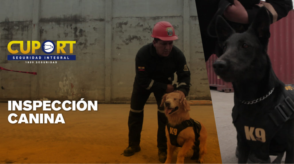 SERVICIO DE INSPECCIÓN CANINA (K9) - CUPORT SEGURIDAD